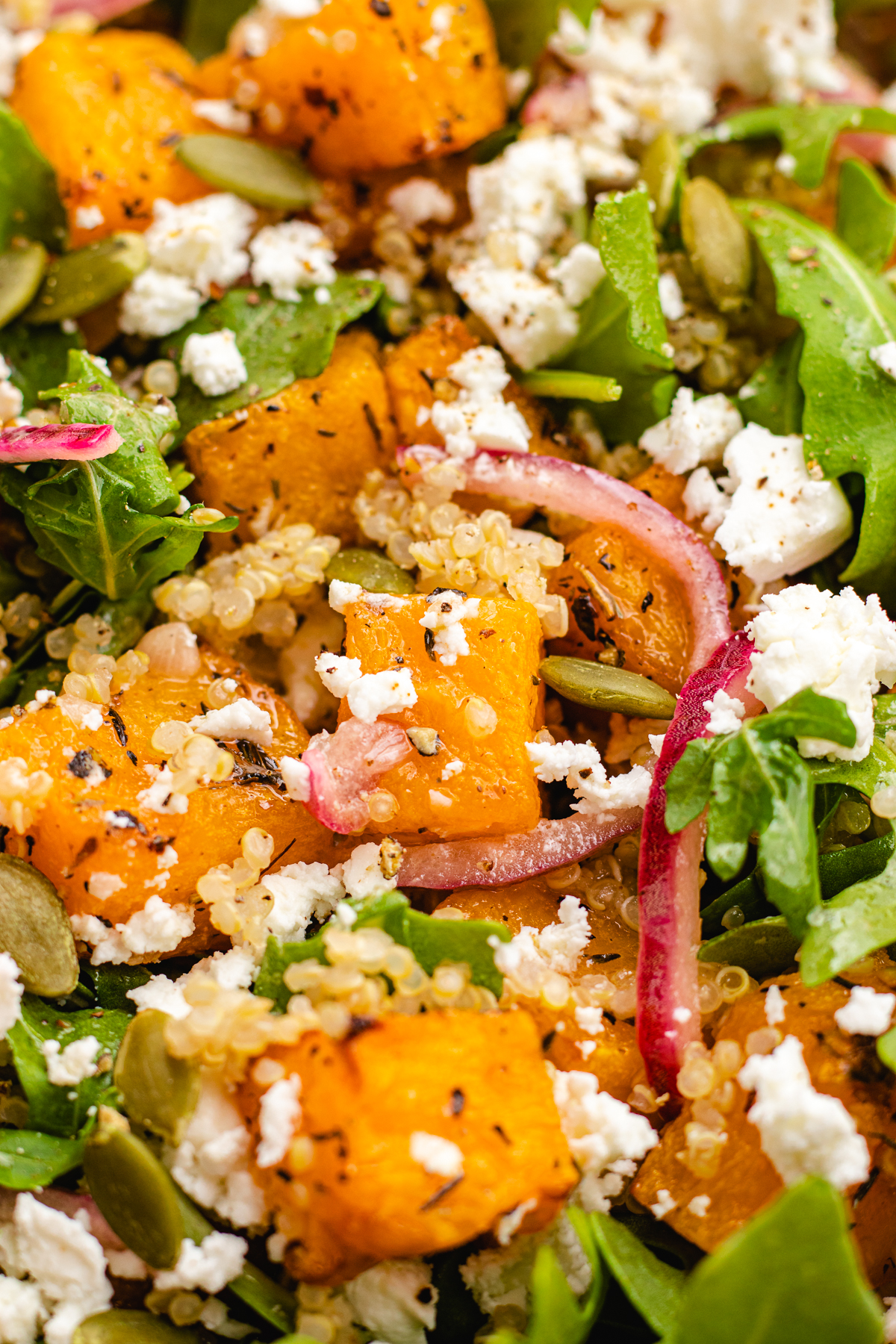 Quinoa salad with pumpkin - The Delicious plate